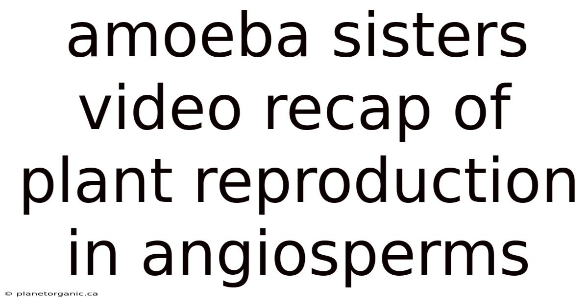 Amoeba Sisters Video Recap Of Plant Reproduction In Angiosperms