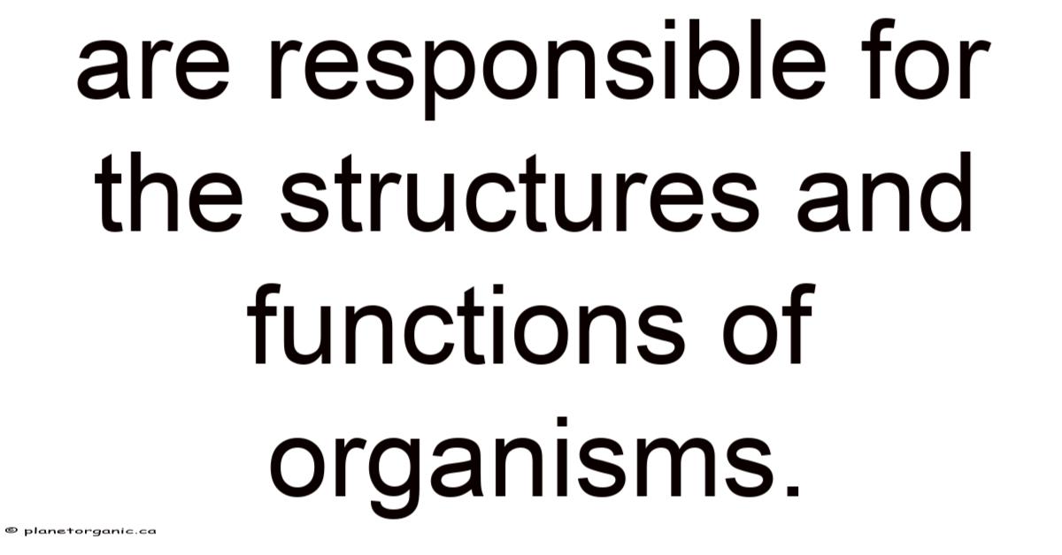 Are Responsible For The Structures And Functions Of Organisms.