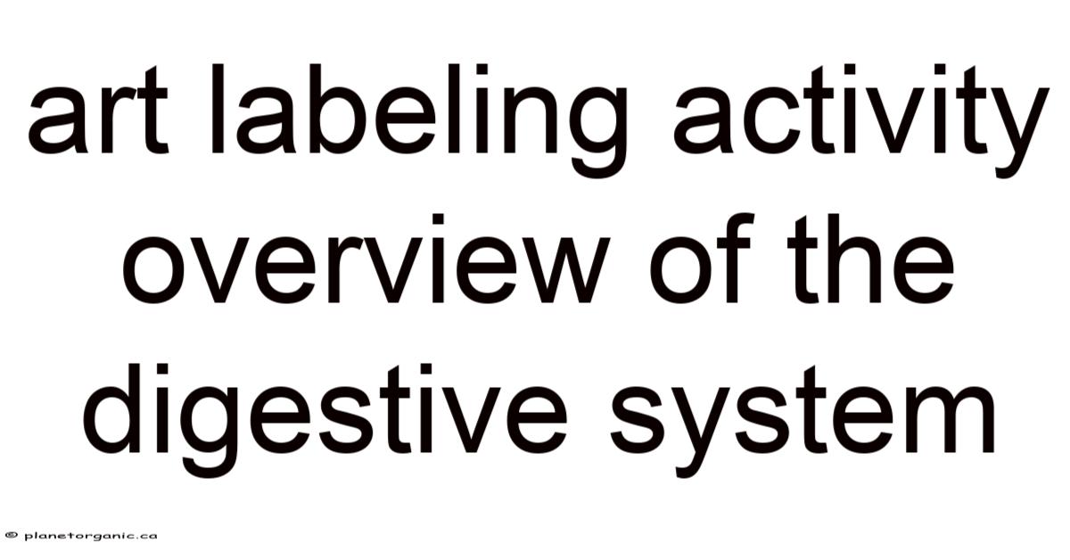 Art Labeling Activity Overview Of The Digestive System