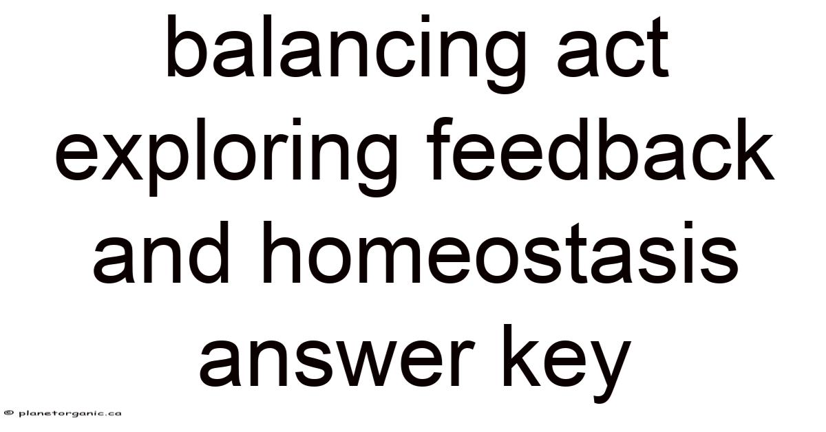 Balancing Act Exploring Feedback And Homeostasis Answer Key