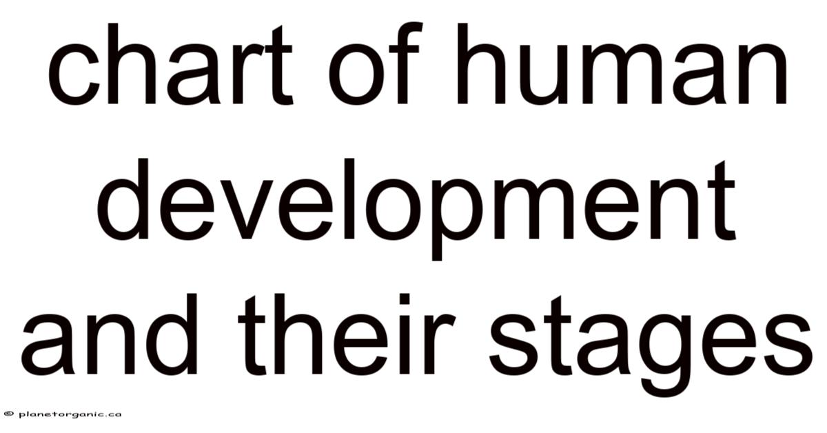 Chart Of Human Development And Their Stages