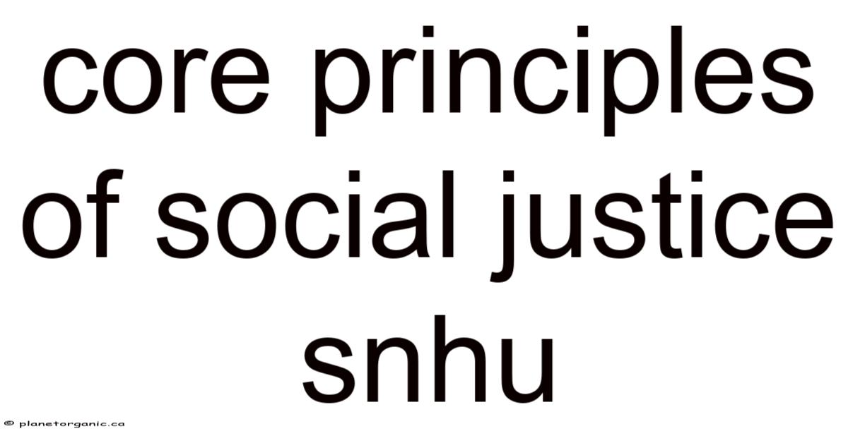 Core Principles Of Social Justice Snhu