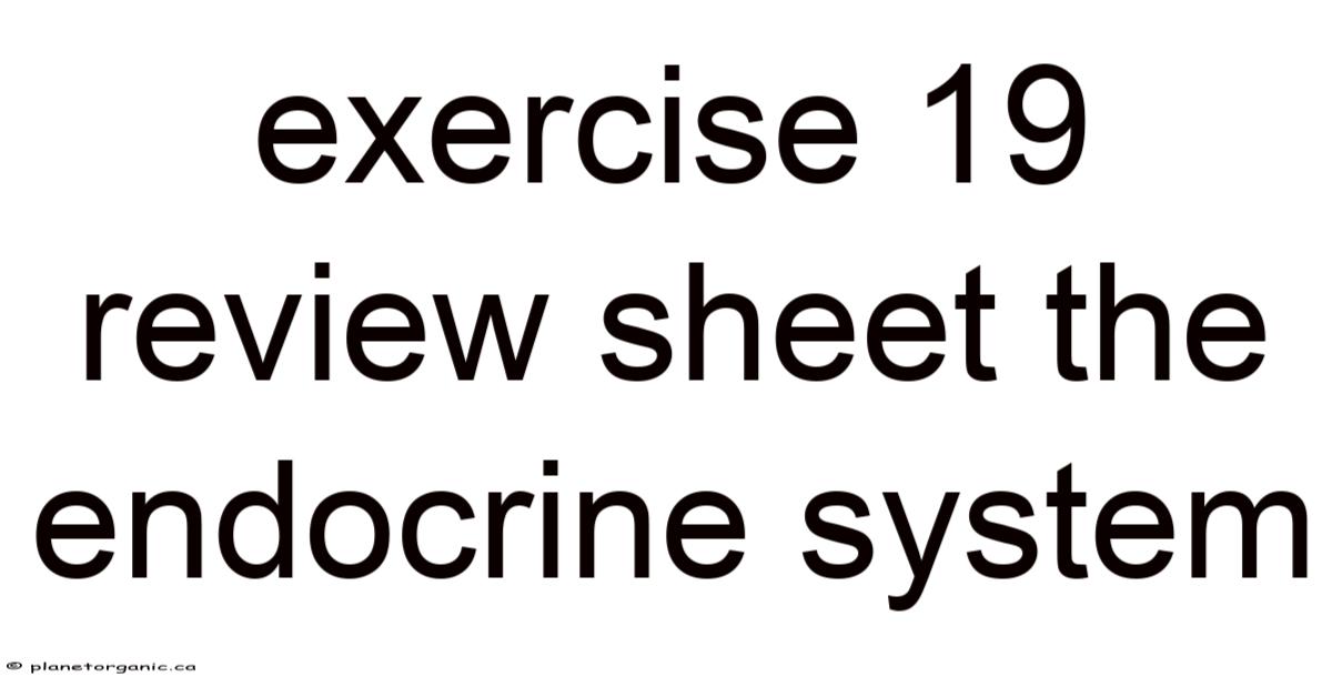 Exercise 19 Review Sheet The Endocrine System
