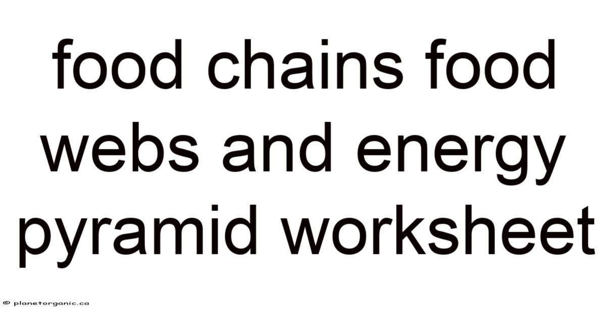 Food Chains Food Webs And Energy Pyramid Worksheet