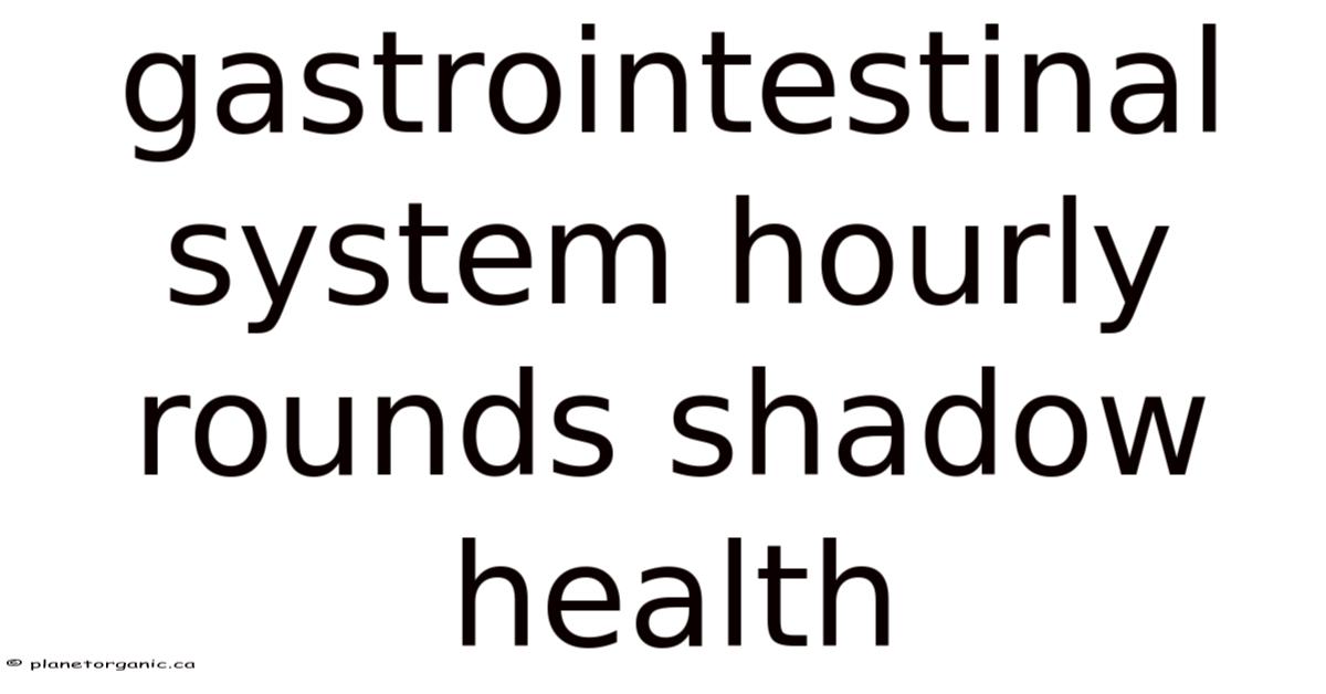 Gastrointestinal System Hourly Rounds Shadow Health