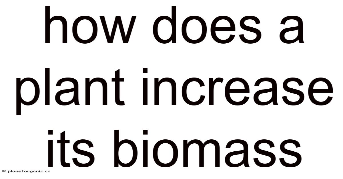 How Does A Plant Increase Its Biomass