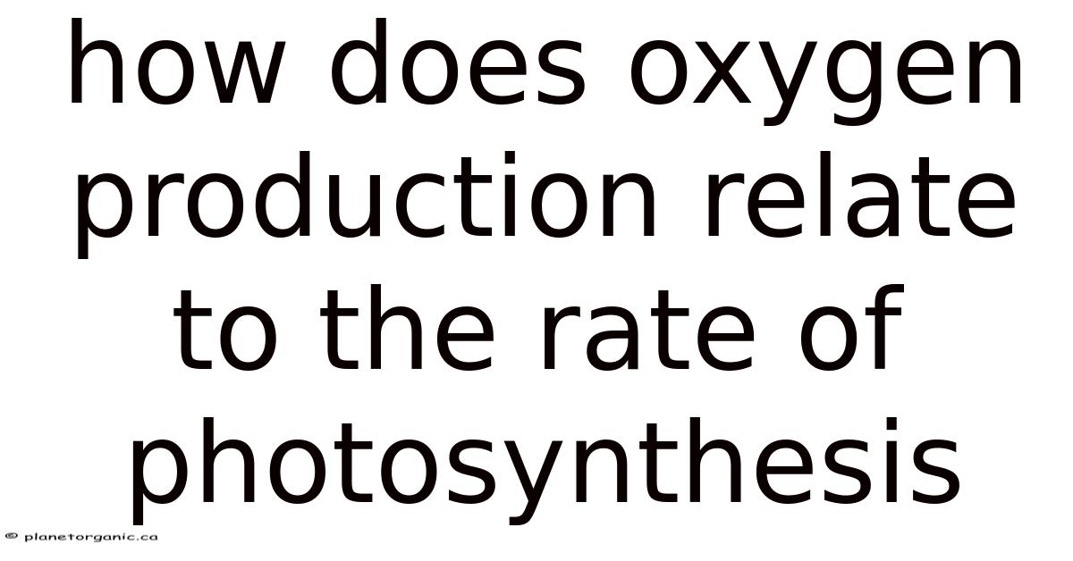 How Does Oxygen Production Relate To The Rate Of Photosynthesis