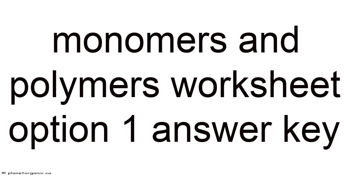 Monomers And Polymers Worksheet Option 1 Answer Key