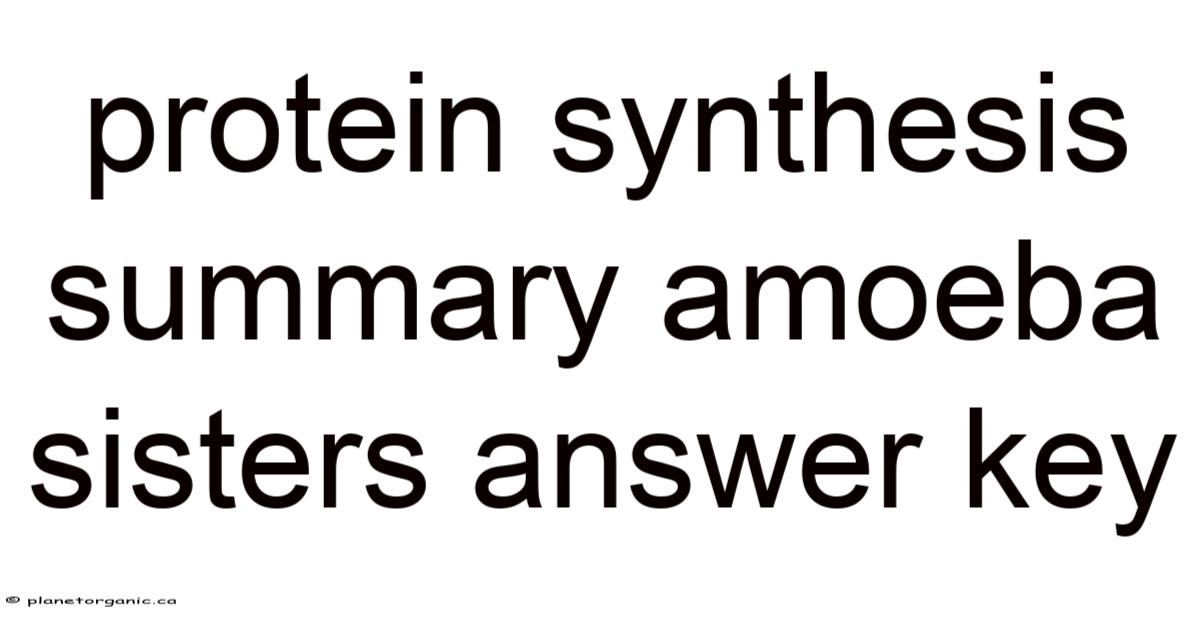 Protein Synthesis Summary Amoeba Sisters Answer Key