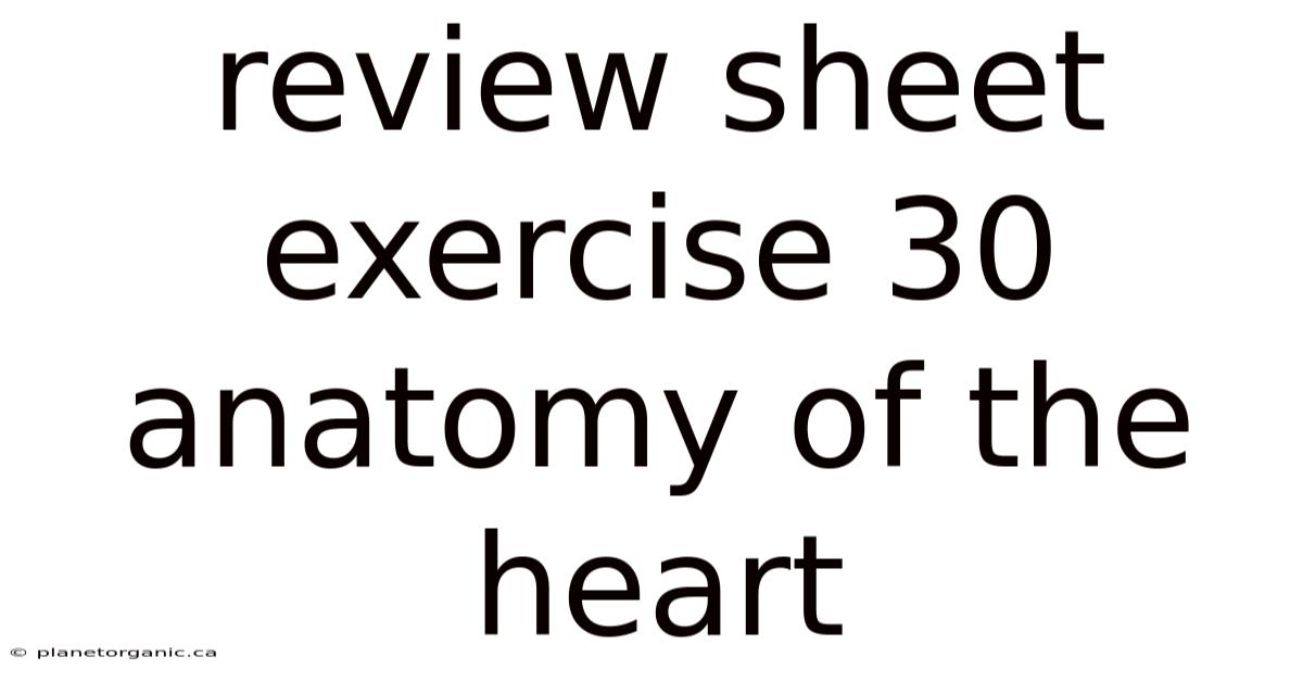 Review Sheet Exercise 30 Anatomy Of The Heart