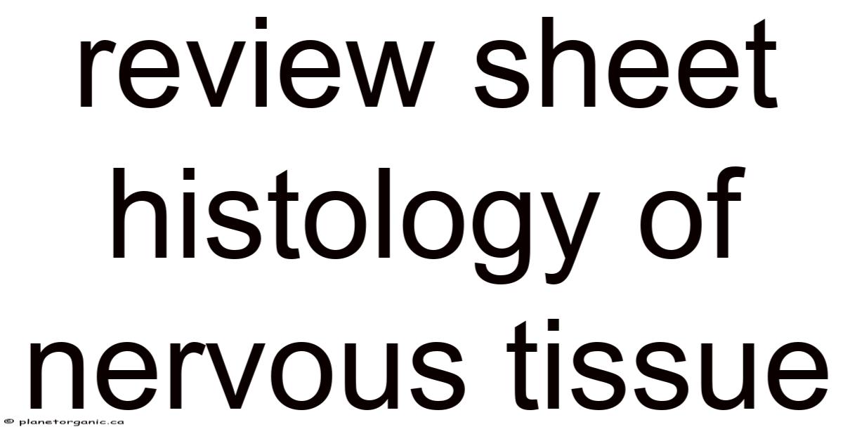 Review Sheet Histology Of Nervous Tissue