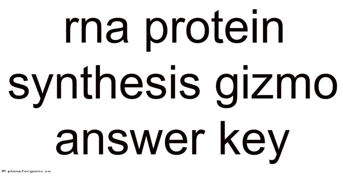 Rna Protein Synthesis Gizmo Answer Key