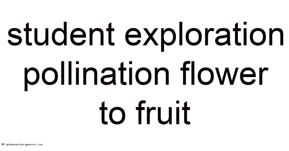 Student Exploration Pollination Flower To Fruit