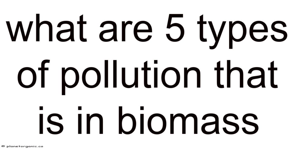 What Are 5 Types Of Pollution That Is In Biomass